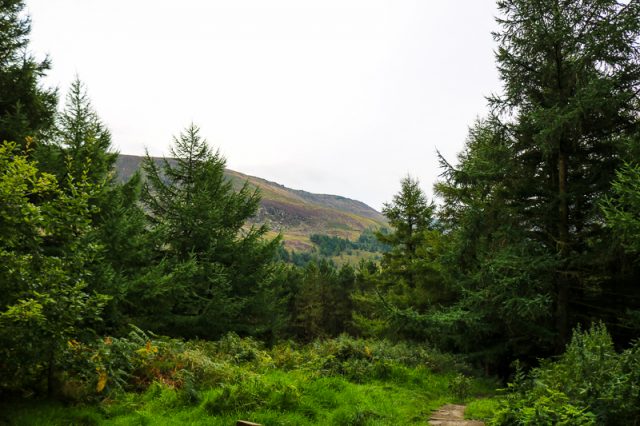 A Walk in Renee's Triangle - Angela Blythe - Dark Pennine Tales